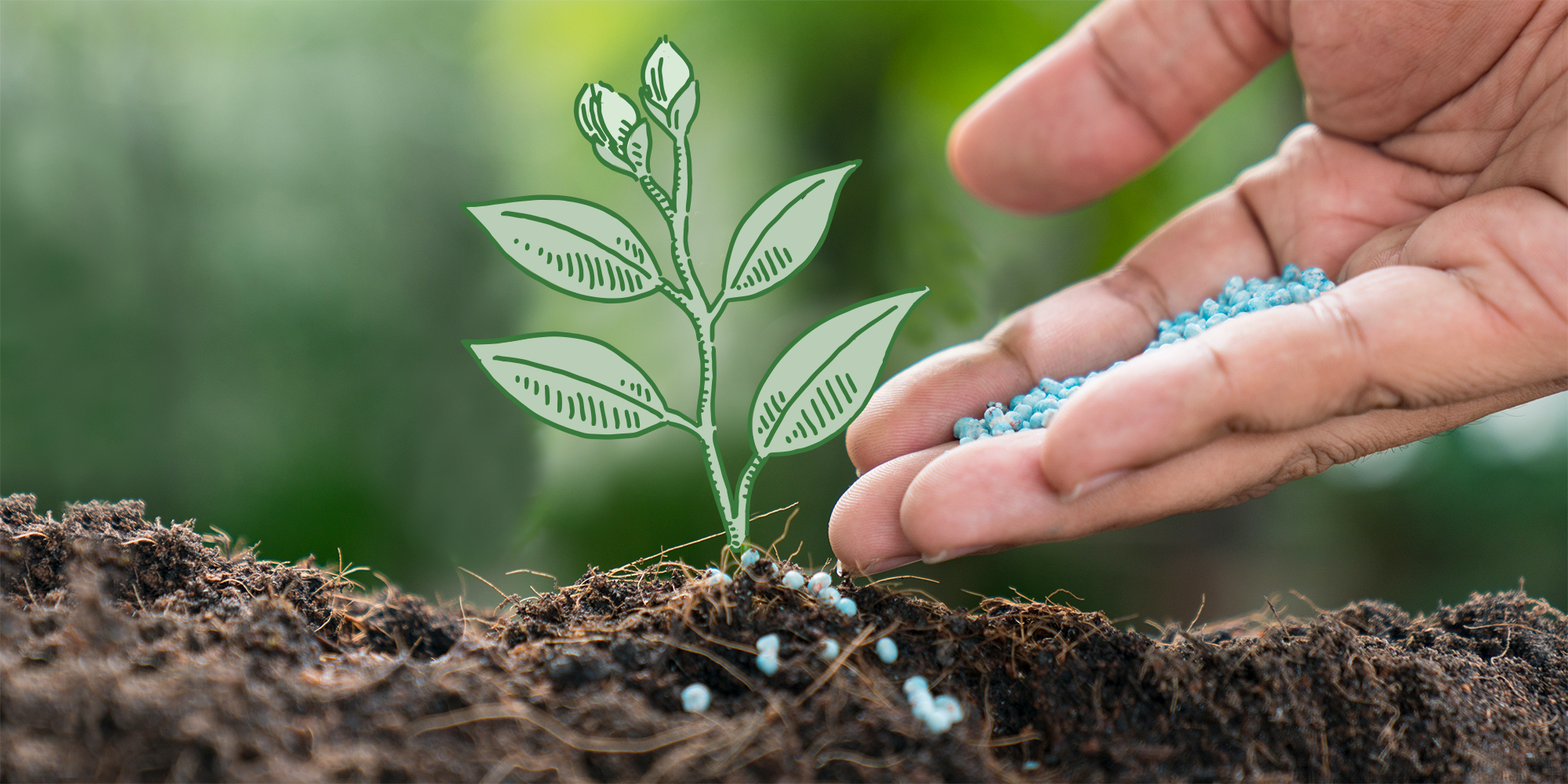 Fertilizer Innovations 101 | ClearPath